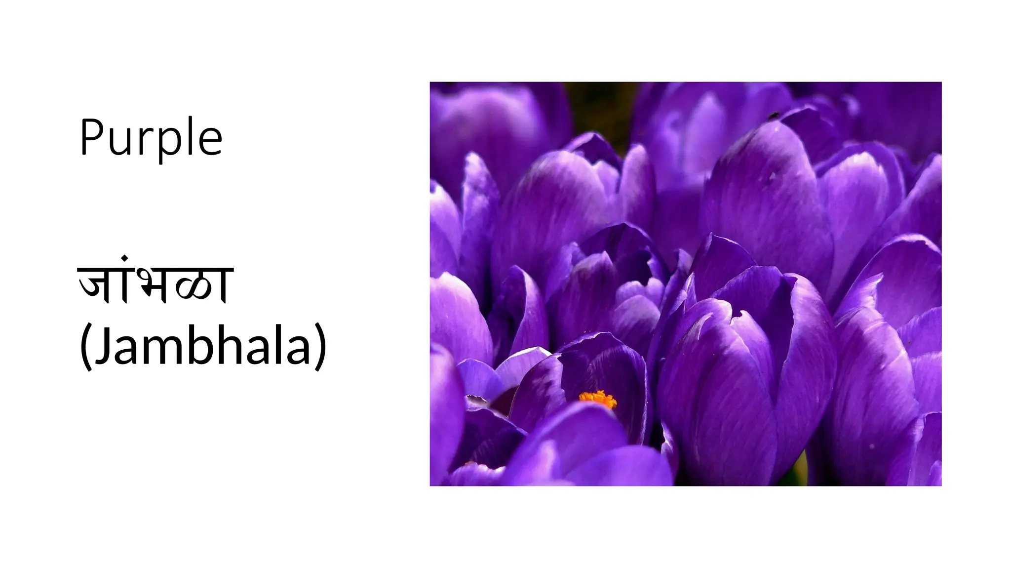 PPT OF COLOURS IN MARATHI WITH WORK SHEET.pptx