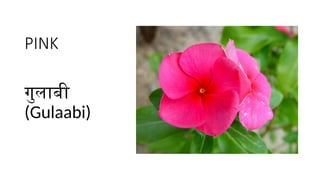 PPT OF COLOURS IN MARATHI WITH WORK SHEET.pptx