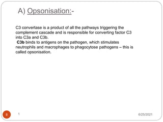 P pt of complement system -- | PPT