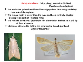 pest of paddy crop and their managements | PPT
