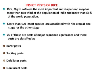 pest of paddy crop and their managements | PPT