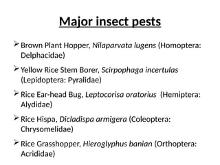 pest of paddy crop and their managements | PPT