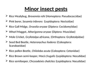 pest of paddy crop and their managements | PPT