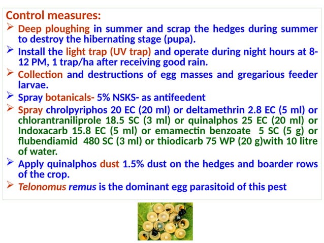ppt of ento-311 insect pest of field crops | PPTX | Gardening | Home & Garden