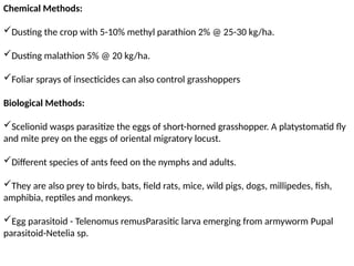 ppt of ento-311 insect pest of field crops | PPTX