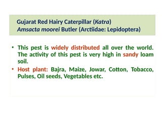 ppt on insect pest of field crops and their management | PPTX