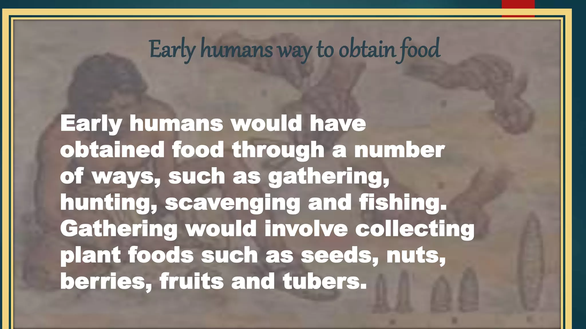 From the beginning of time - a story of human evolution | PPTX