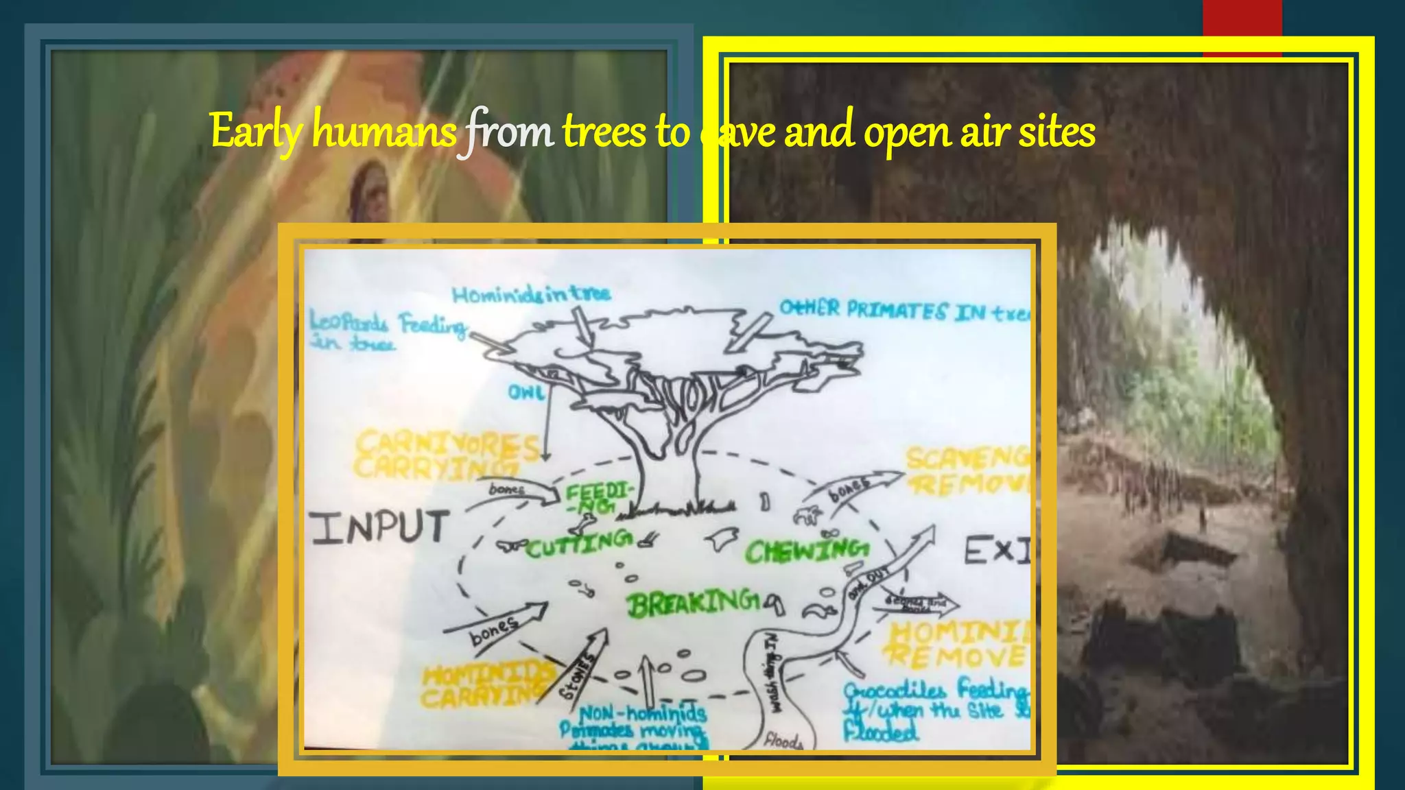 From the beginning of time - a story of human evolution | PPTX