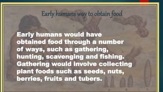 From the beginning of time - a story of human evolution | PPTX