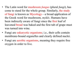 Ppt of fungi | PPTX
