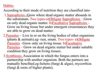 Ppt of fungi | PPTX | Science