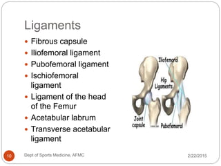 Applied Anatomy of Hip Joint | PPTX