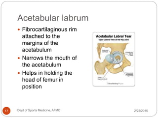 Applied Anatomy of Hip Joint | PPTX