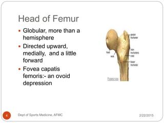 Applied Anatomy of Hip Joint | PPTX