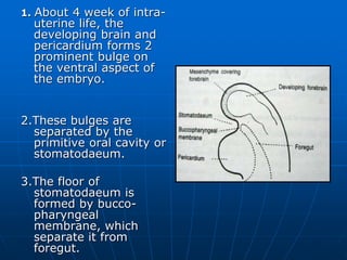 Ppt of mandible.ppt