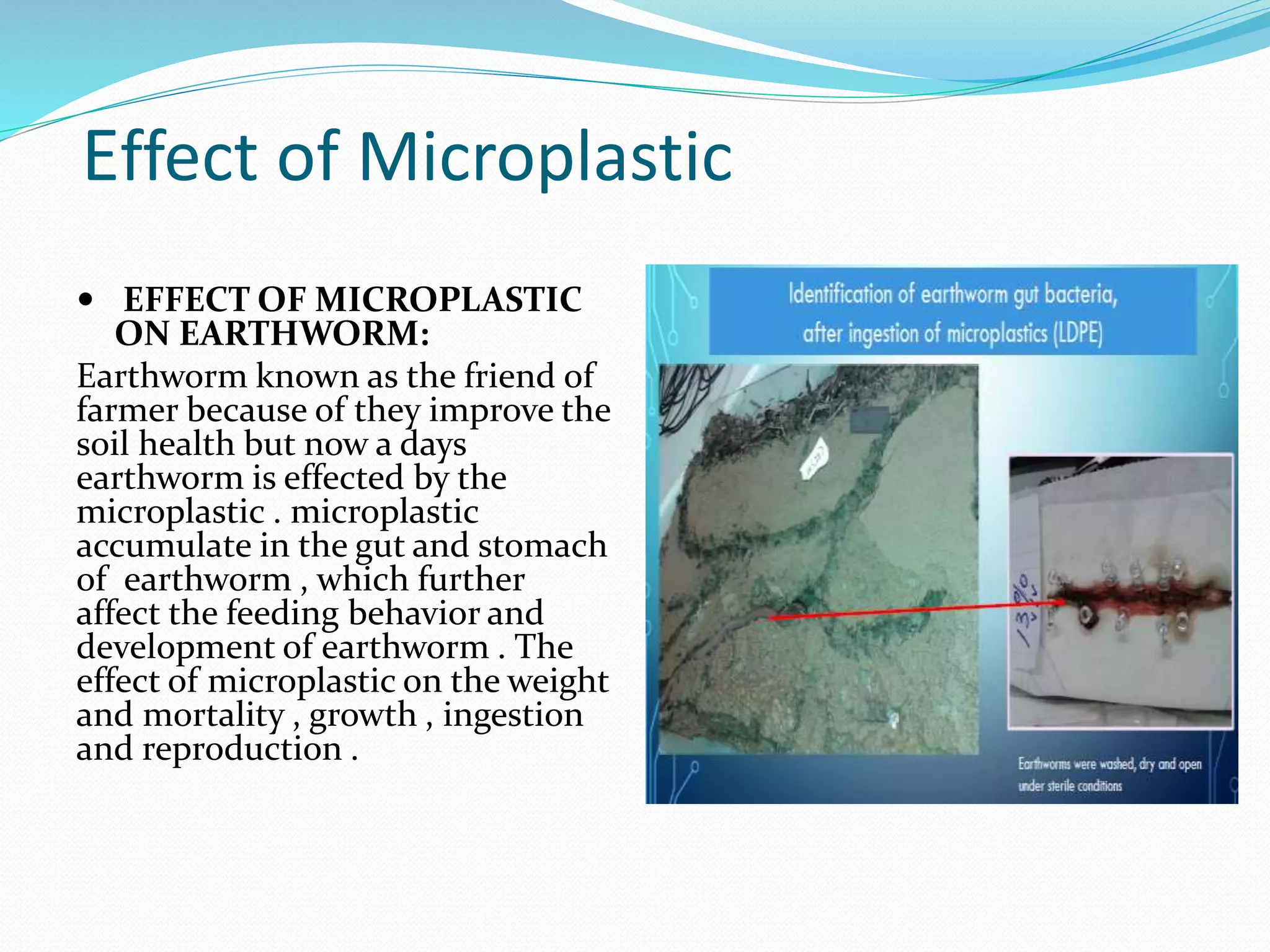 Ppt of microplastic in soil of maharishi dayanand university and | PPTX