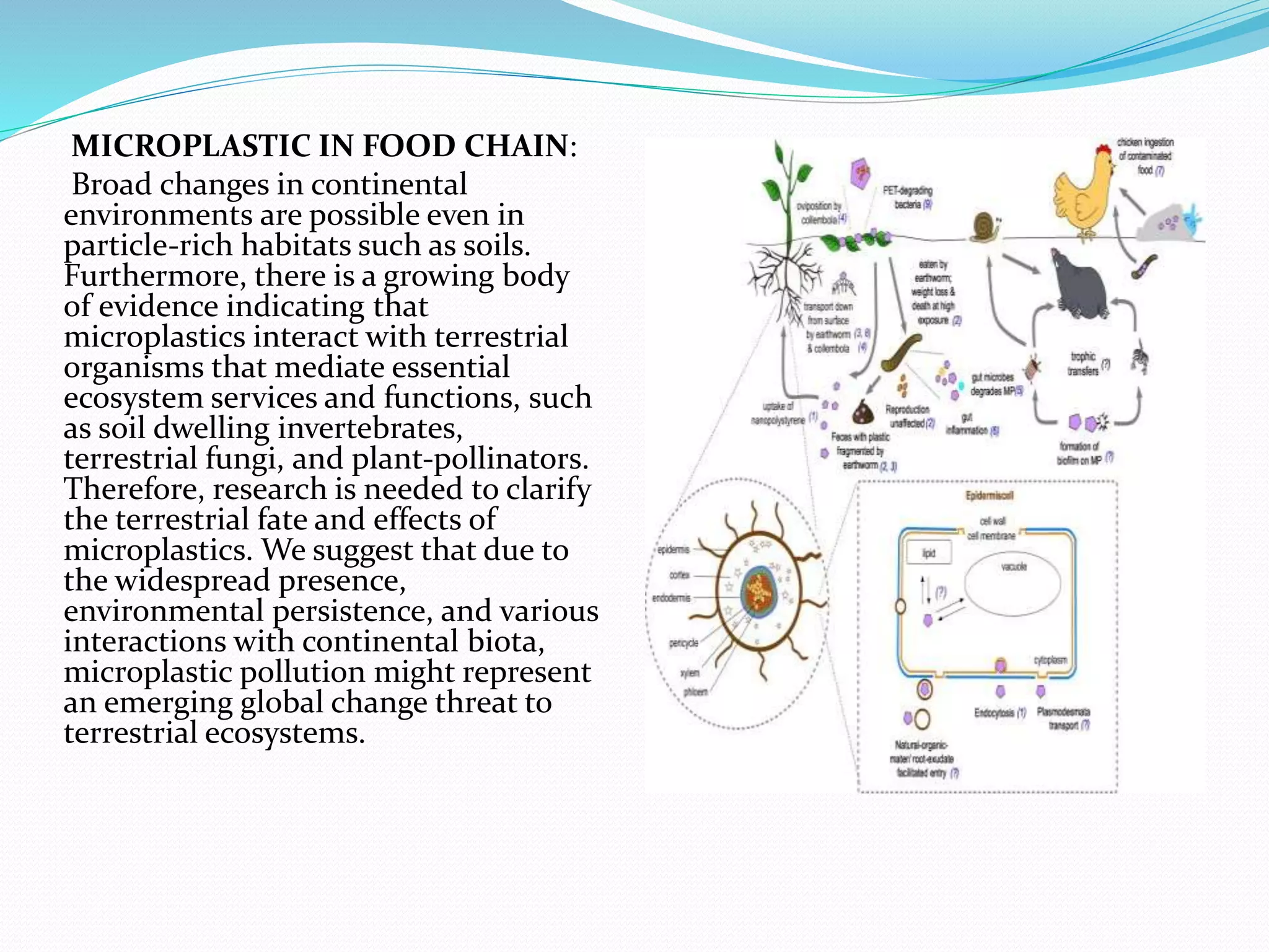 Ppt of microplastic in soil of maharishi dayanand university and | PPTX
