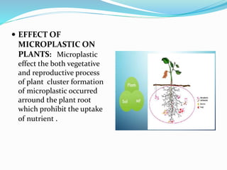 Ppt of microplastic in soil of maharishi dayanand university and | PPTX