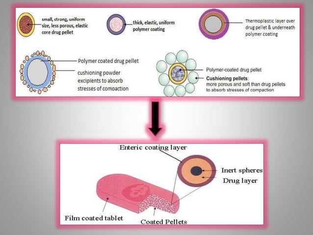 Multi Unit Pellet System (MUPS) | PPTX | Digestive Disorders | Diseases ...