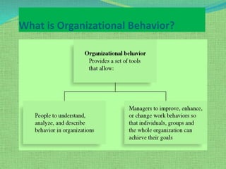 analysis of ob level | PPTX