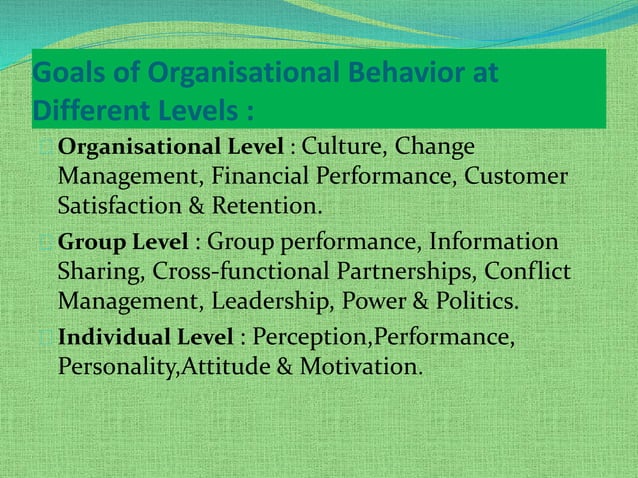 analysis of ob level | PPTX | Business | Business and Finance