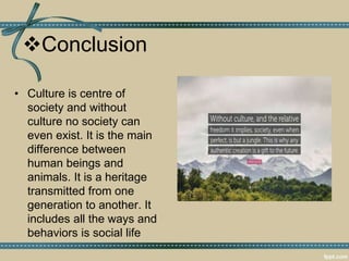 Paper no.8, Cultural Studies | PPTX | Education