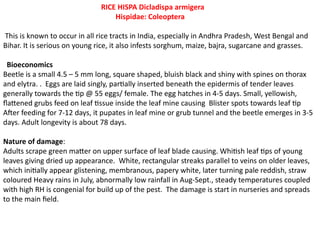 ppt of pest of RICE crops and their management | PPTX