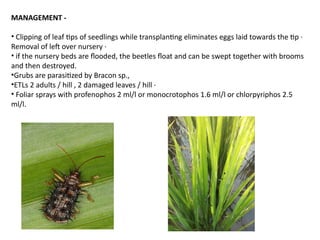 ppt of pest of RICE crops and their management | PPTX