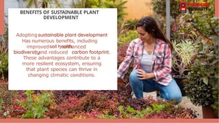 PPT OF PLANT DEVELOPMENT SUSTAINABILITY(SWEETA MANDAL, UID-23MSB10002).pptx