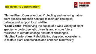 PPT OF PLANT DEVELOPMENT SUSTAINABILITY(SWEETA MANDAL, UID-23MSB10002).pptx