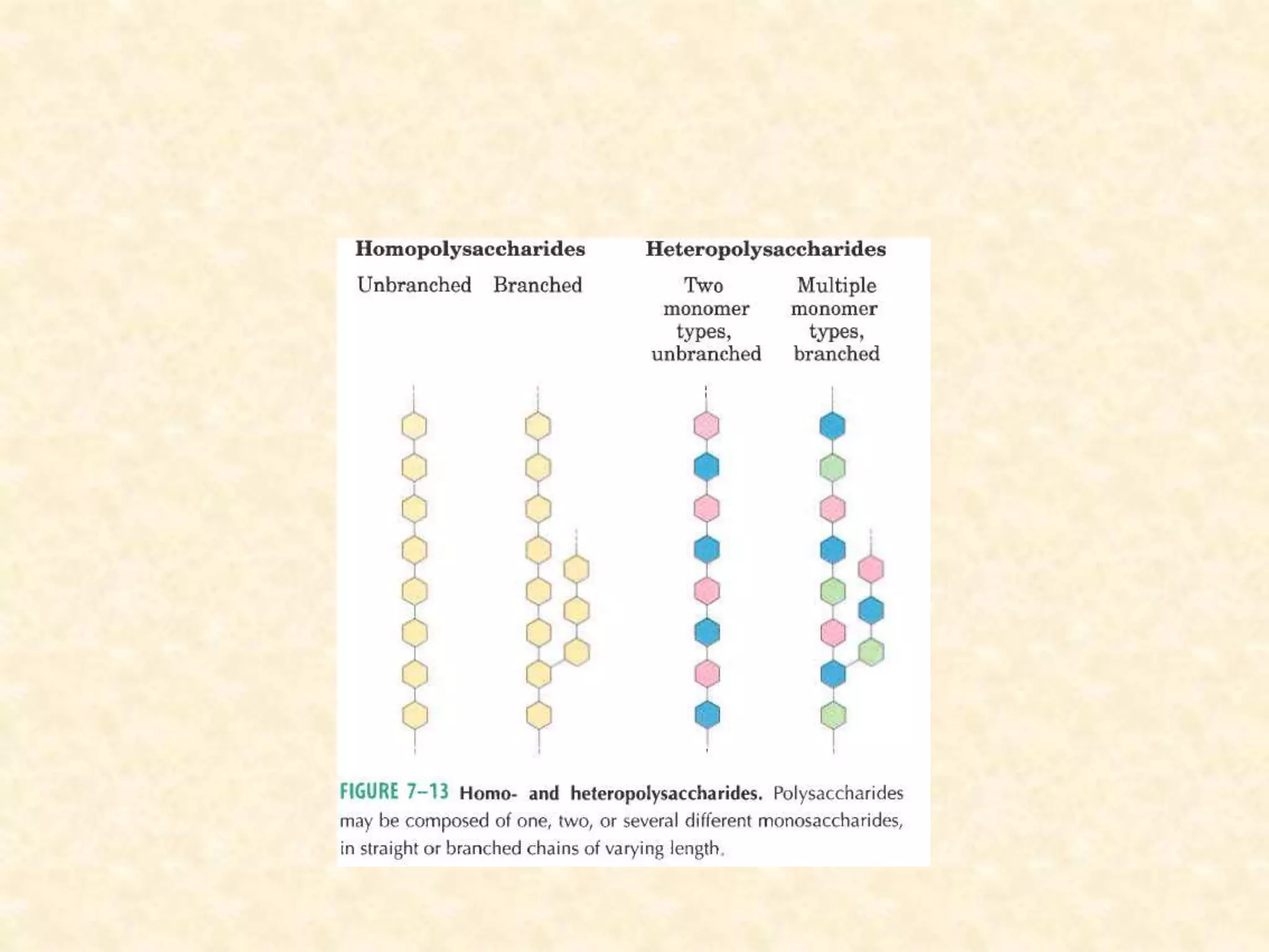 POLYSACCHARIDES | PPTX