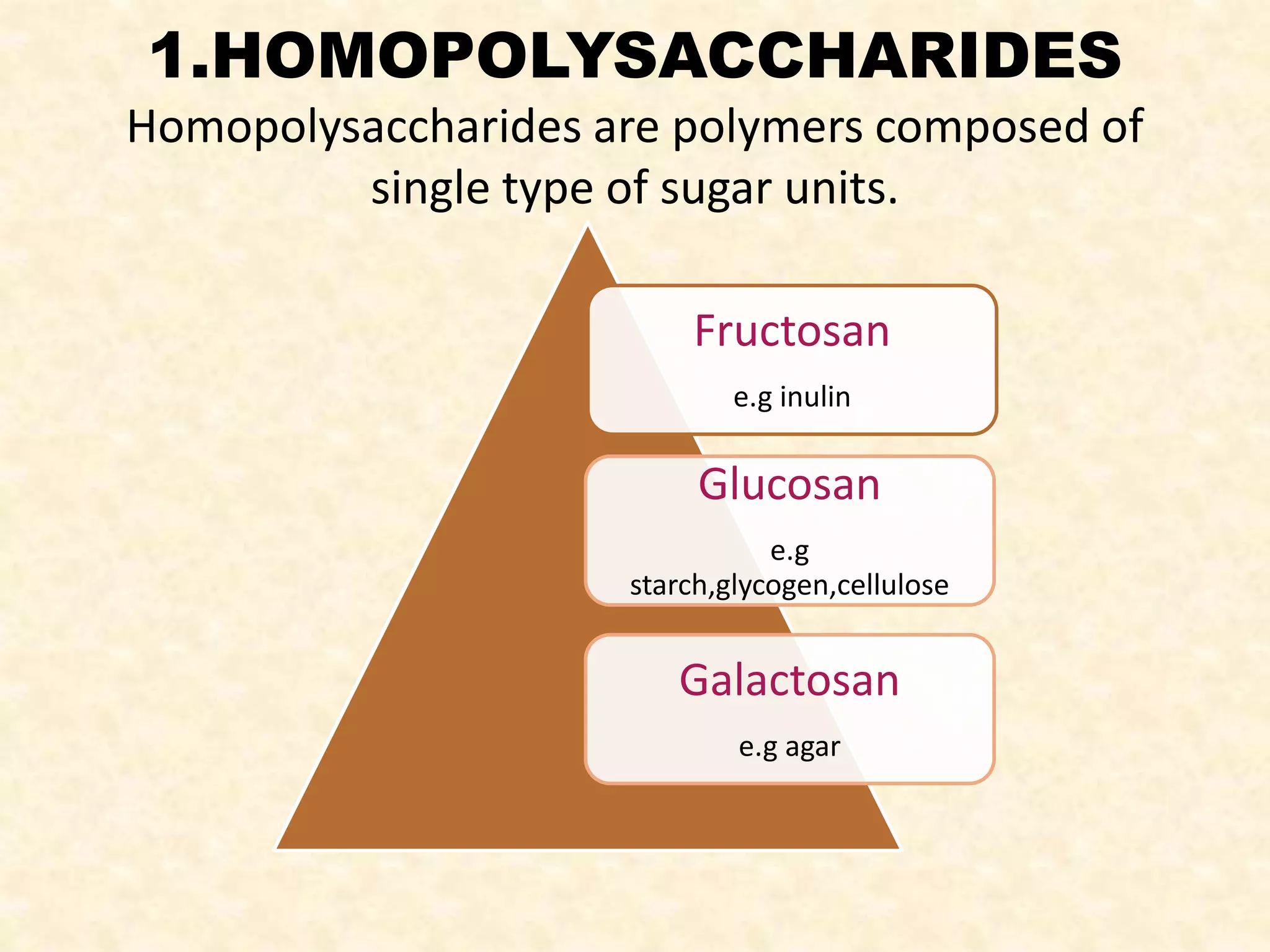 POLYSACCHARIDES | PPTX