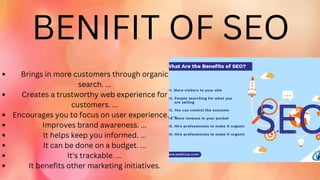 PPT OF SEO (2).pdf