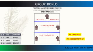 Wellway Life India Marketing Plan 9465844147 | PPT