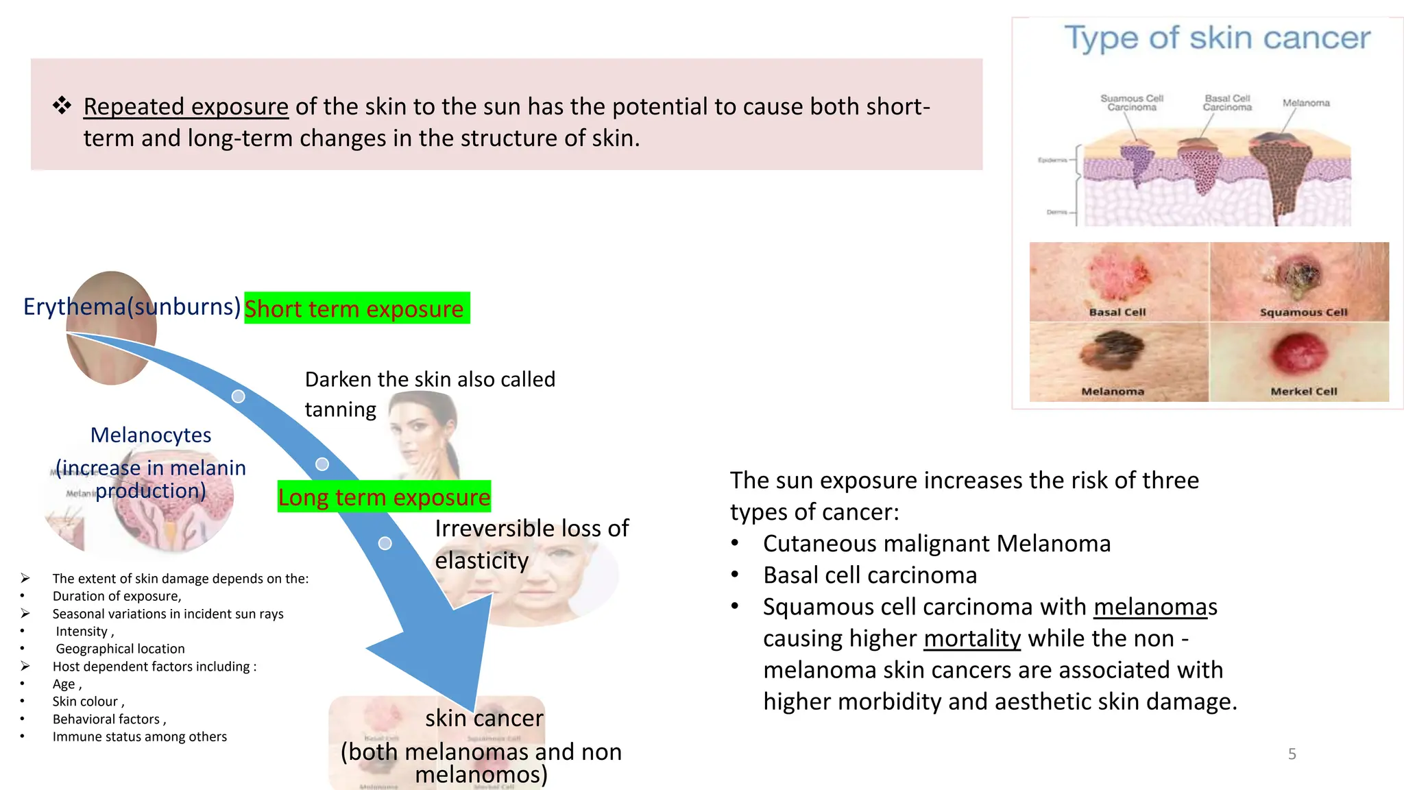 SUNSCREEN, definition, classification, SPF value, history, mechanism ...