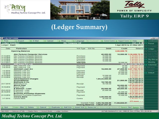 Ppt of tally | PPTX | Business Accounting & Finance | Business