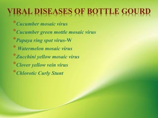 VIRAL DISEASES OF BOTTLE GOURD | PPTX