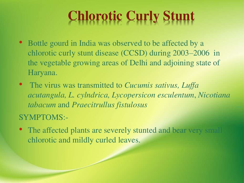 Viral Diseases Of Bottle Gourd