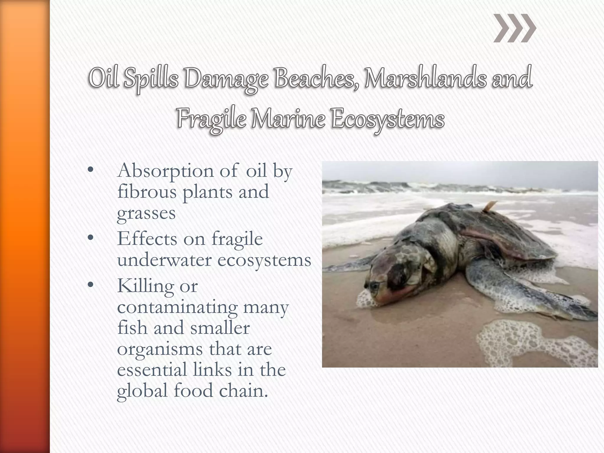 Ppt oil spill | PPTX