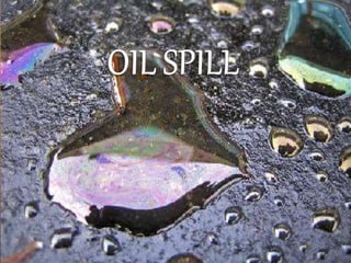 Ppt oil spill | PPTX