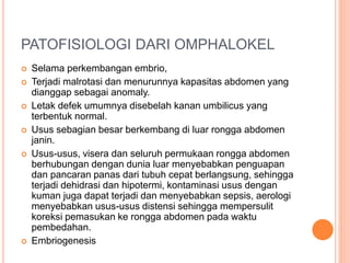 PPT Omfakokel | PPTX