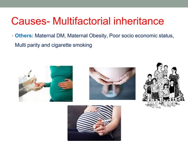 PPT ON -Unit II-Maternal, Prenatal factors influences on Genetic ...
