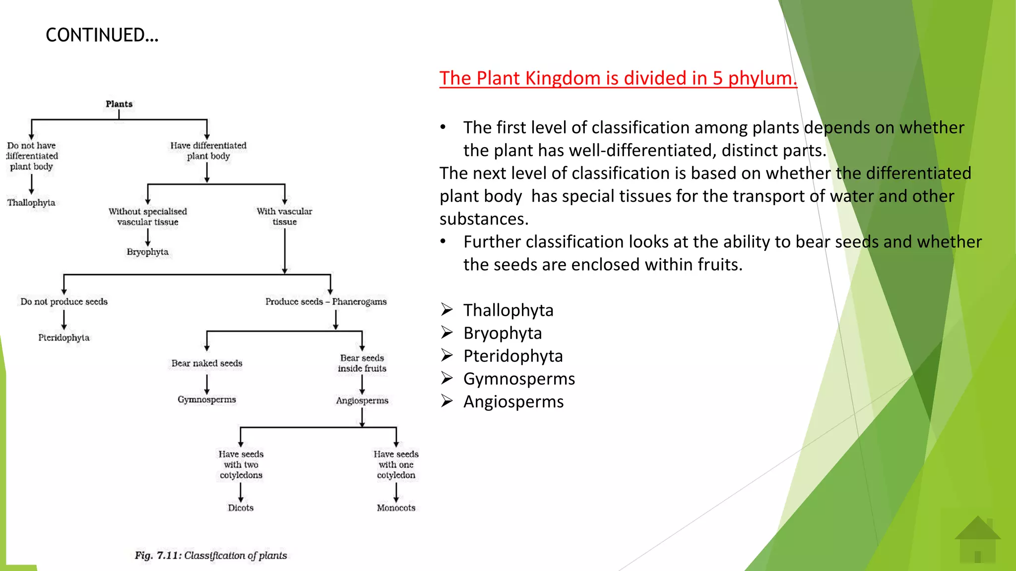 PPT on Five Kingdom Classification | PPTX