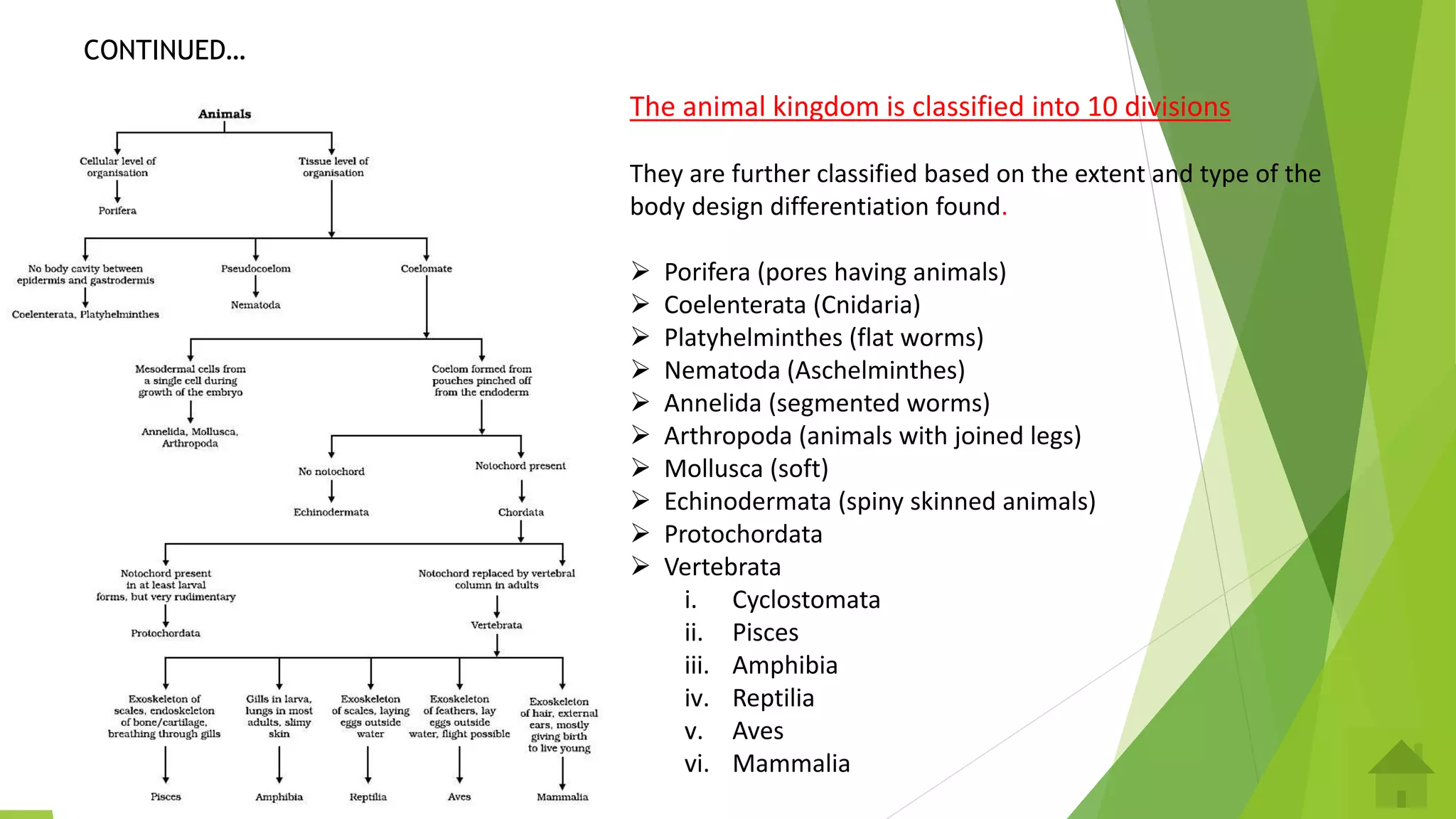 PPT on Five Kingdom Classification | PPTX