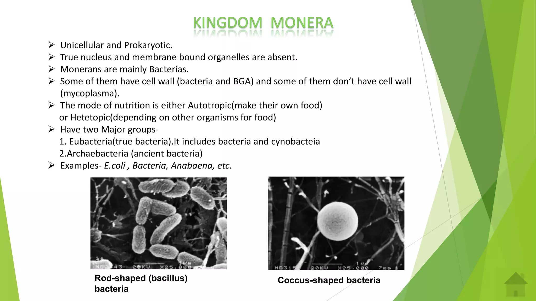 PPT on Five Kingdom Classification | PPTX