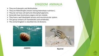 PPT on Five Kingdom Classification | PPTX