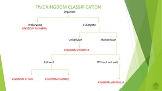 PPT on Five Kingdom Classification | PPTX