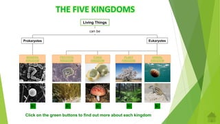 PPT on Five Kingdom Classification | PPTX