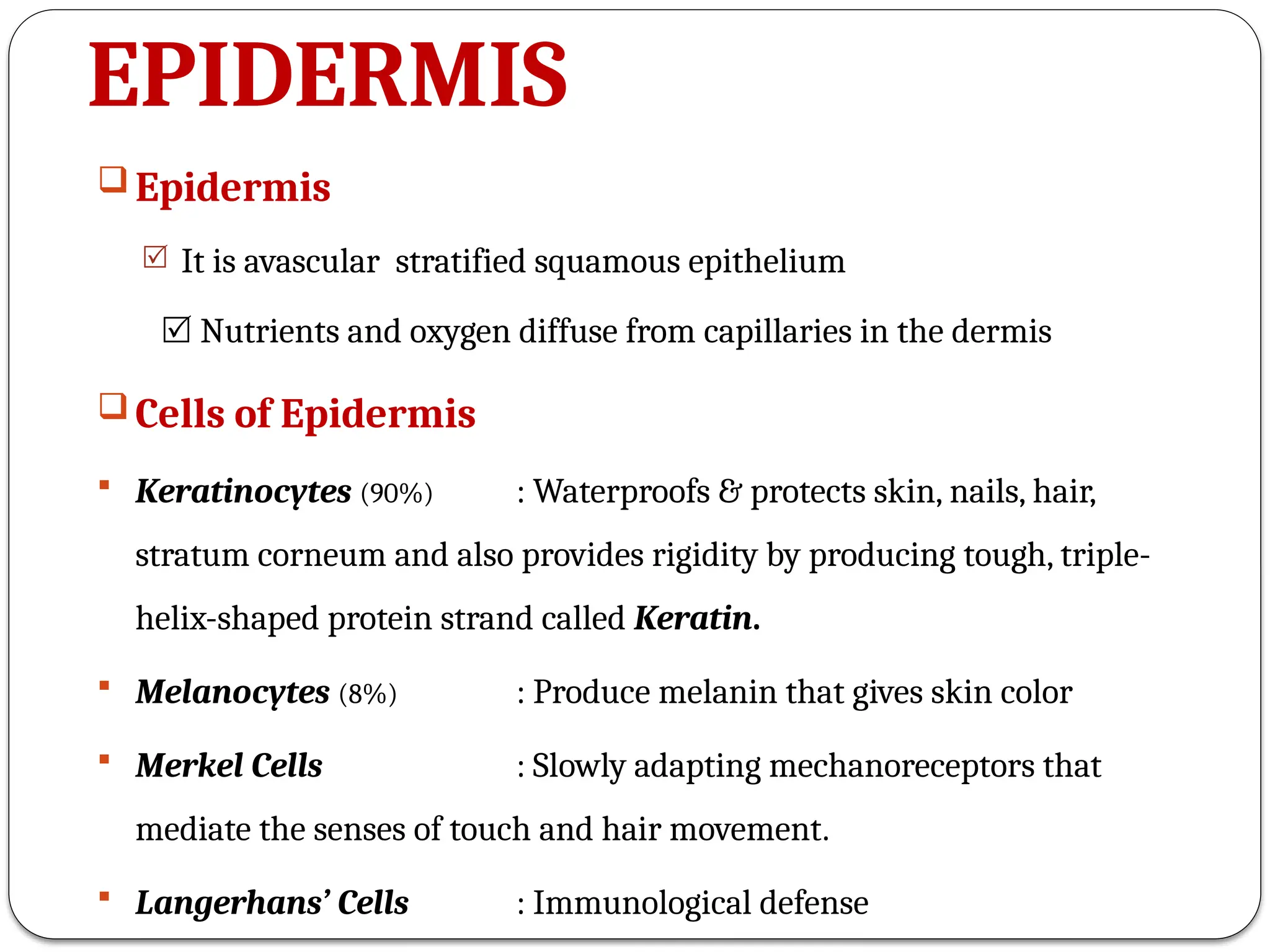 PPT On Anatomy of Skin.pptxfghfghfdgfdgdf | PPTX