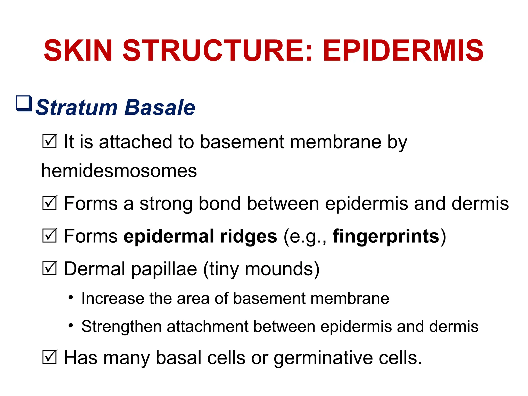 ppt on Anatomy of Skin.pptxdvhwjgdyuwgydgy | PPTX